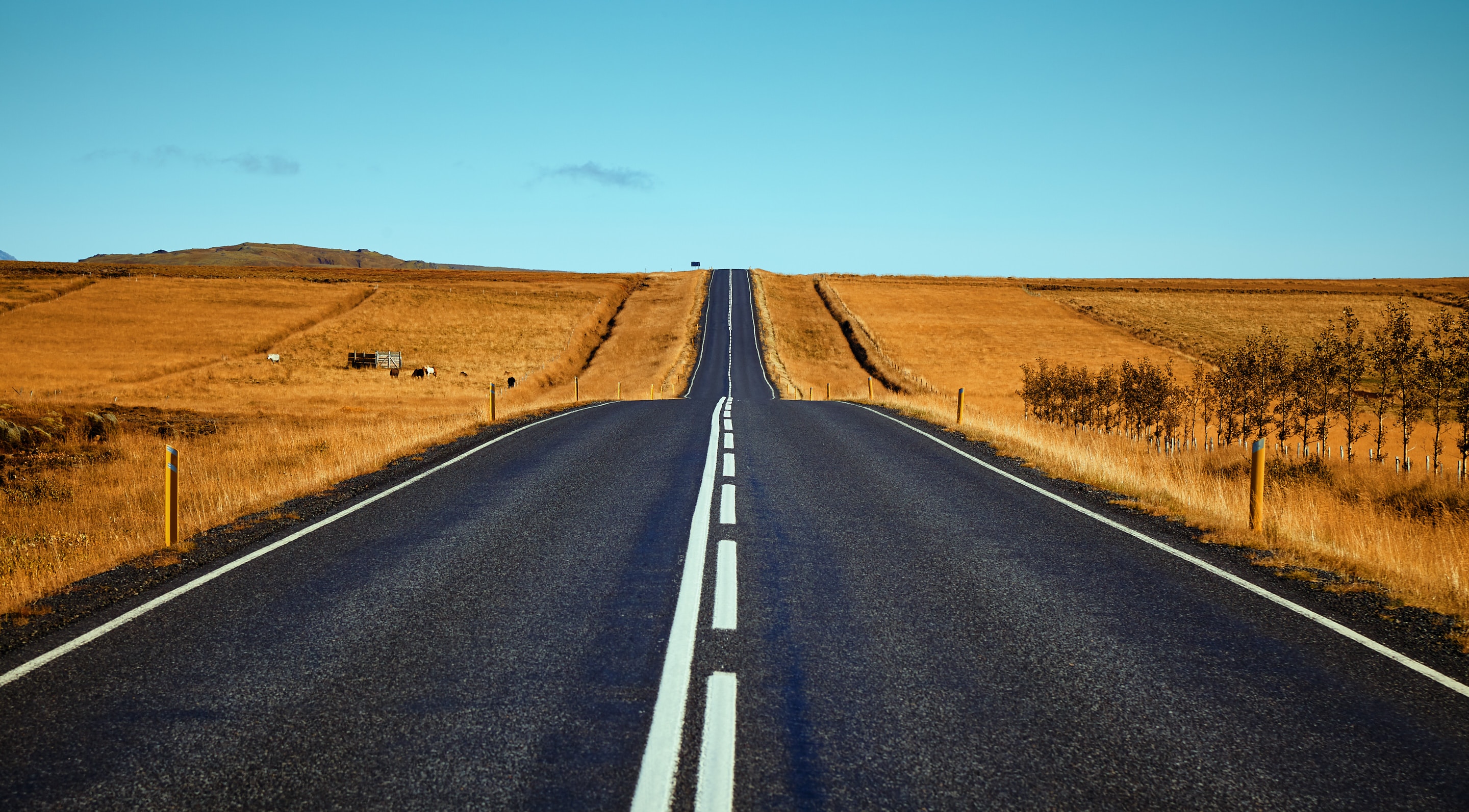 Latest update on the Silverstripe CMS support timeline » Silverstripe CMS